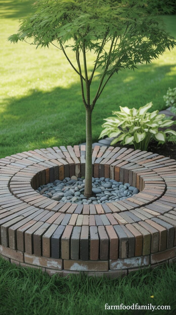 35+ Innovative Edging Around Trees Ideas for Every Garden Style (2025)