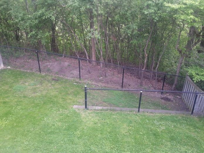 15 Brilliant Fence on Slope Ideas for a Stunning Yard Makeover (2024)