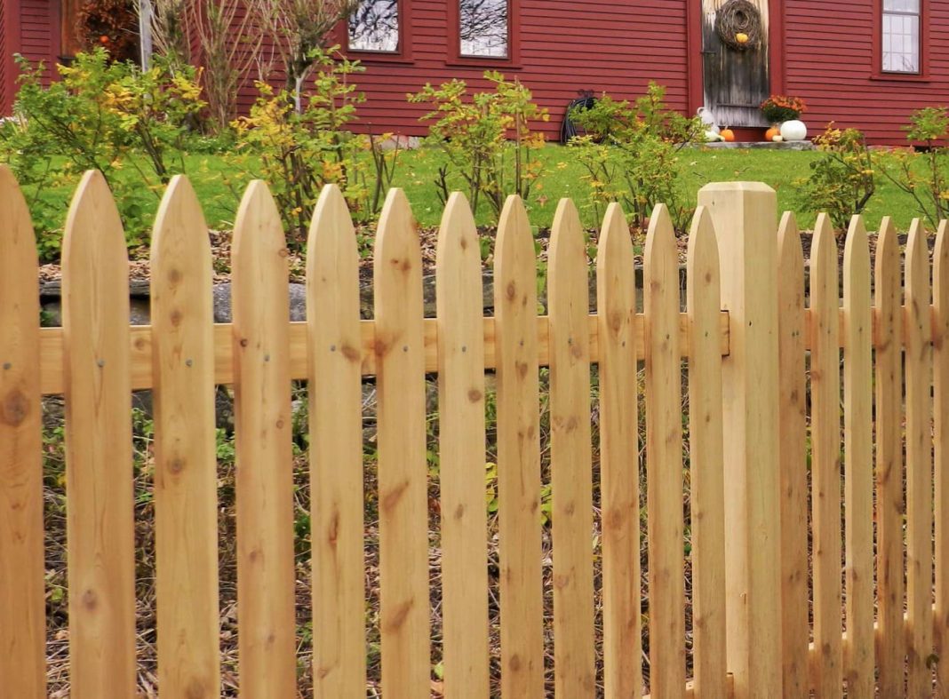 20 Amazing Pallet Fence Ideas to Transform Your Yard – FarmFoodFamily