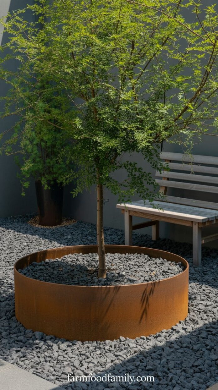 35+ Innovative Edging Around Trees Ideas for Every Garden Style (2025)