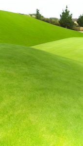 15 Unique Backyard Hill Ideas to Elevate Your Landscape (2024)