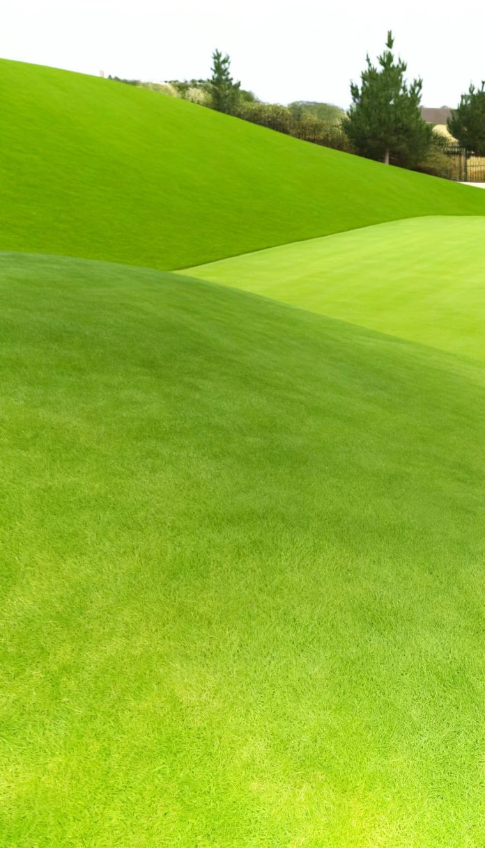 15 Unique Backyard Hill Ideas to Elevate Your Landscape (2024)