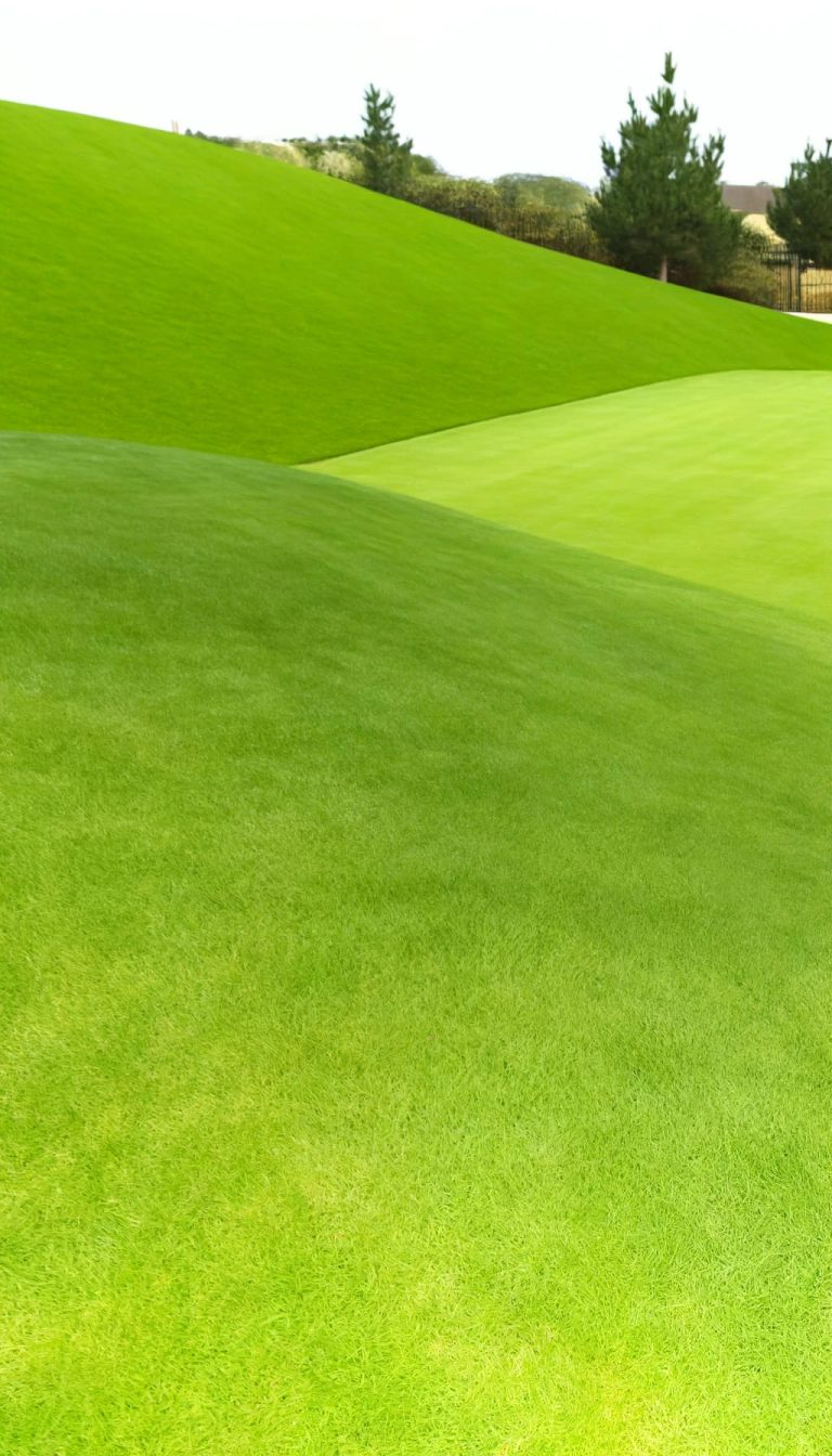 15 Unique Backyard Hill Ideas to Elevate Your Landscape (2024)