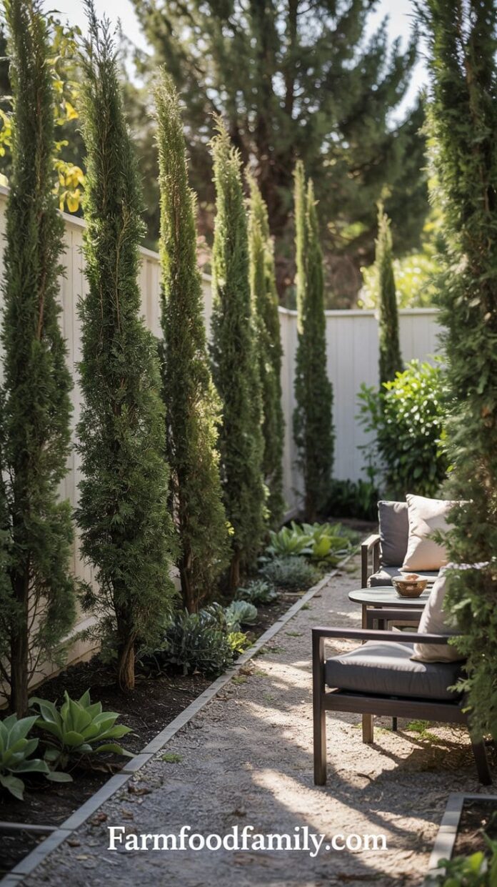 30+ Genius Narrow Backyard Ideas That Maximize Space (2025)