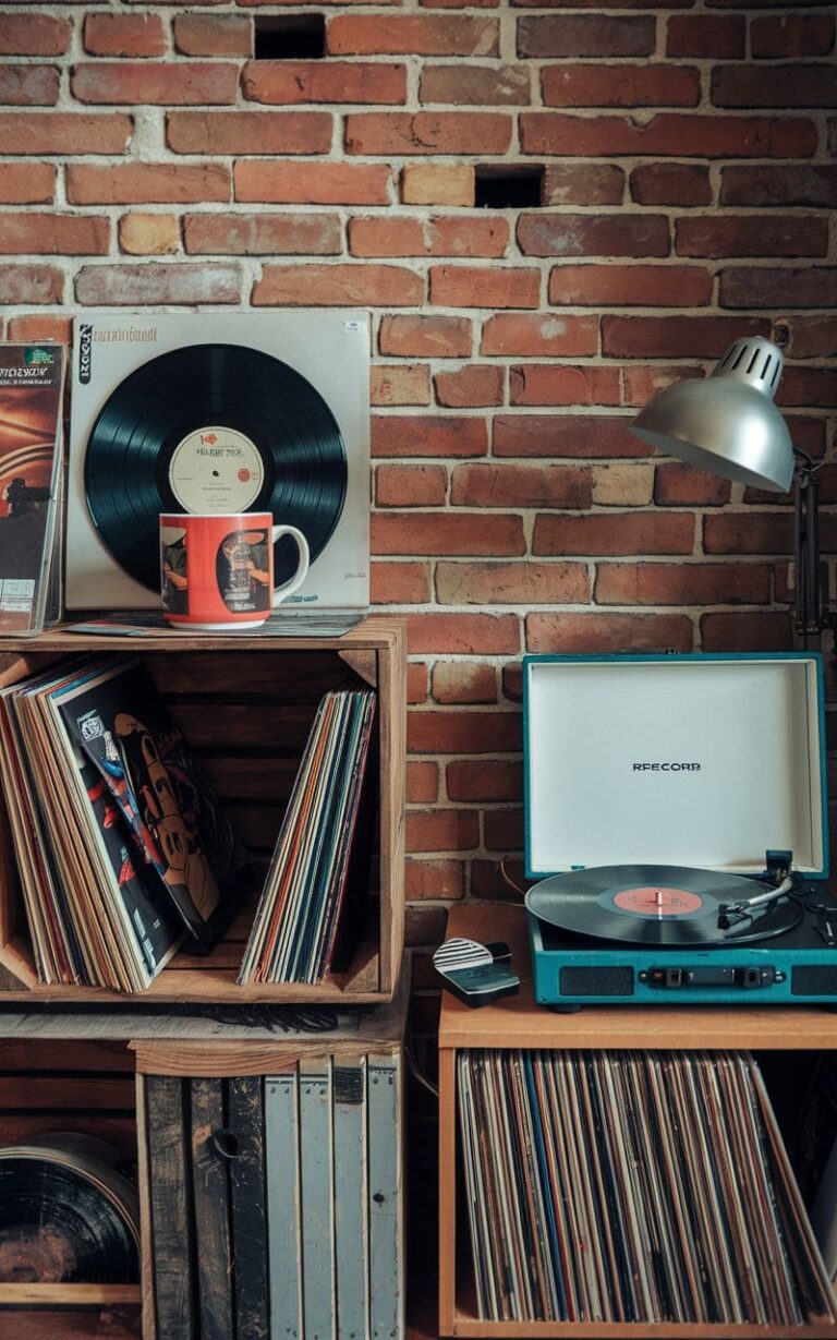 60+ Creative Vinyl Record Storage Ideas to Try Today (2026)