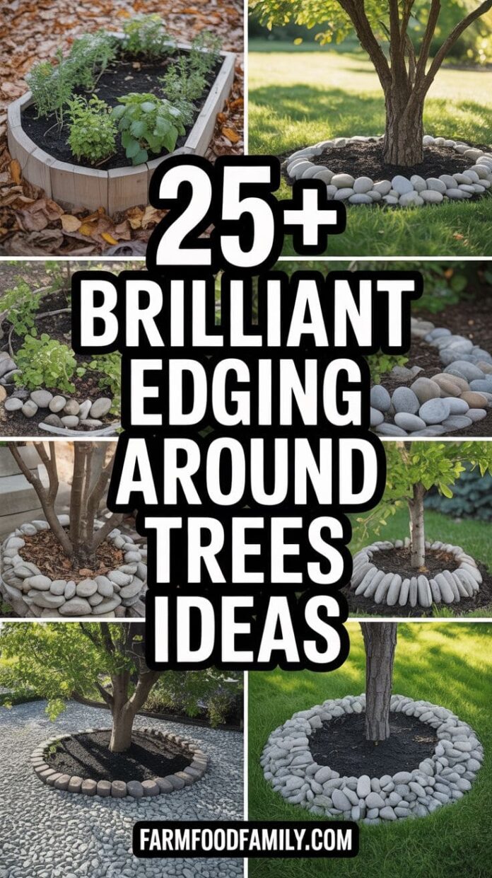 35+ Innovative Edging Around Trees Ideas for Every Garden Style (2025)