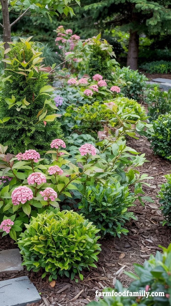20+ Unique Shrubbery Landscaping Ideas for Instant Garden Charm (2025)