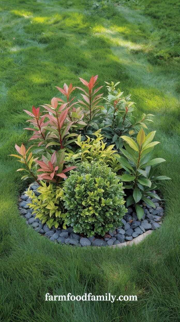 20+ Unique Shrubbery Landscaping Ideas for Instant Garden Charm (2026)