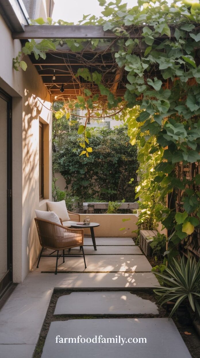 30+ Stunning Back Patio Ideas to Elevate Your Outdoor Space (2026)