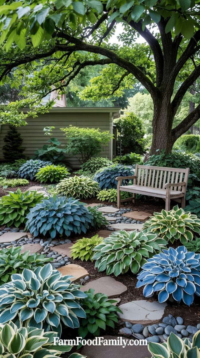 45+ Brilliant Hosta Landscaping Ideas for a Low-Maintenance Garden (2025)