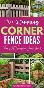 10+ Unique Corner Fence Ideas to Boost Your Garden’s Look (2024)
