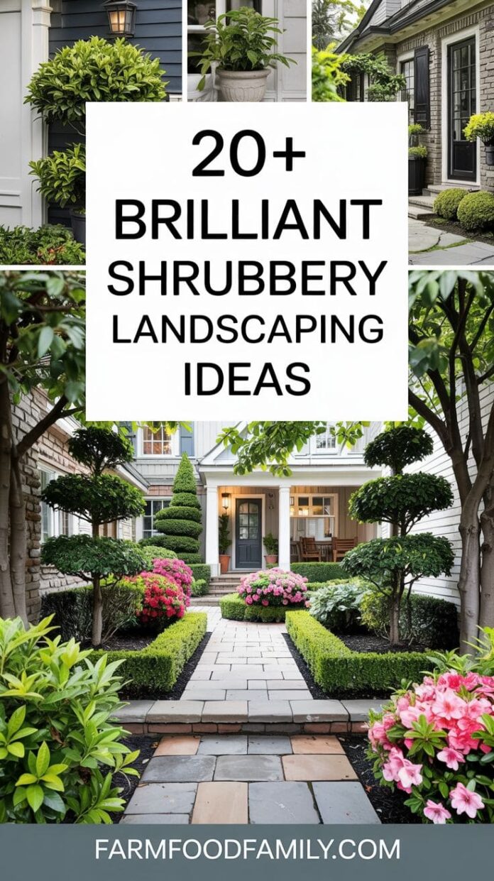 20+ Unique Shrubbery Landscaping Ideas for Instant Garden Charm (2025)
