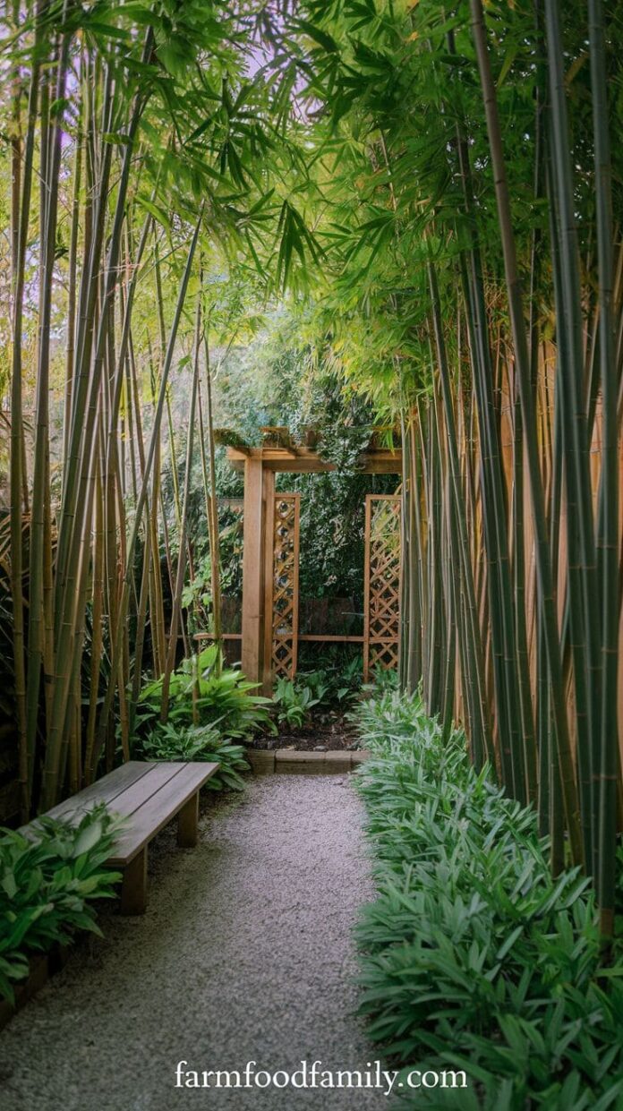 25+ Tranquil Meditation Garden Ideas to Find Your Inner Peace (2026)