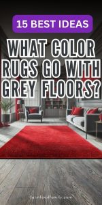 15 Stunning Rug Colors for Grey Floors That Will Wow Your Guests (2024)