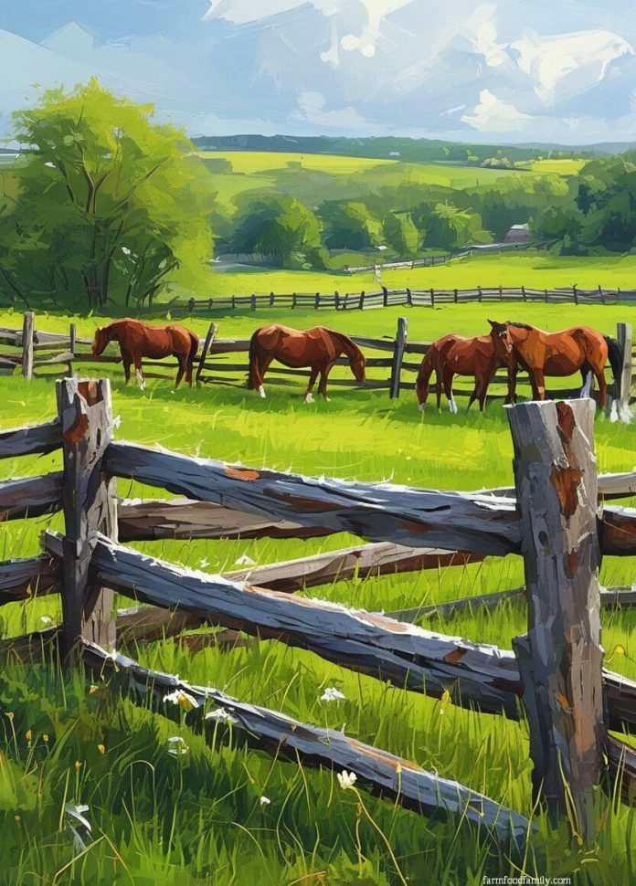 25 Charming Country Fence Ideas That Won’t Break the Bank (2024)