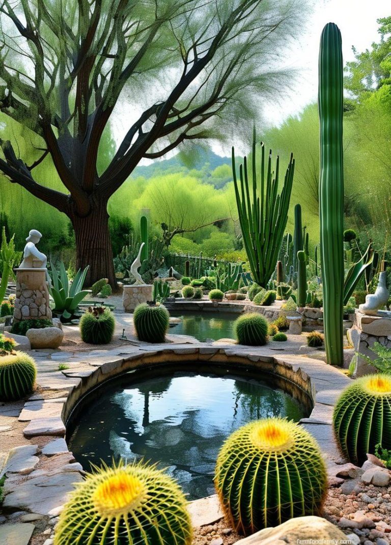 30 Modern Cactus Garden Ideas to Instantly Refresh Your Landscape (2024)