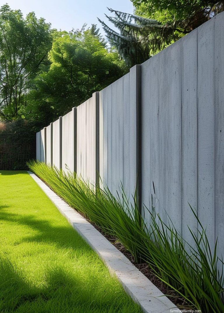 25 Charming Country Fence Ideas That Won’t Break the Bank (2024)
