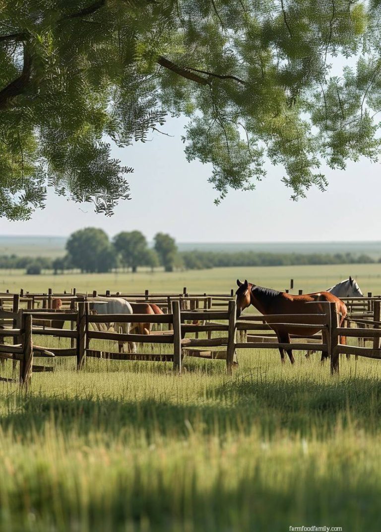 25 Rustic Split Rail Fence Ideas for a Charming Outdoor Space (2024)
