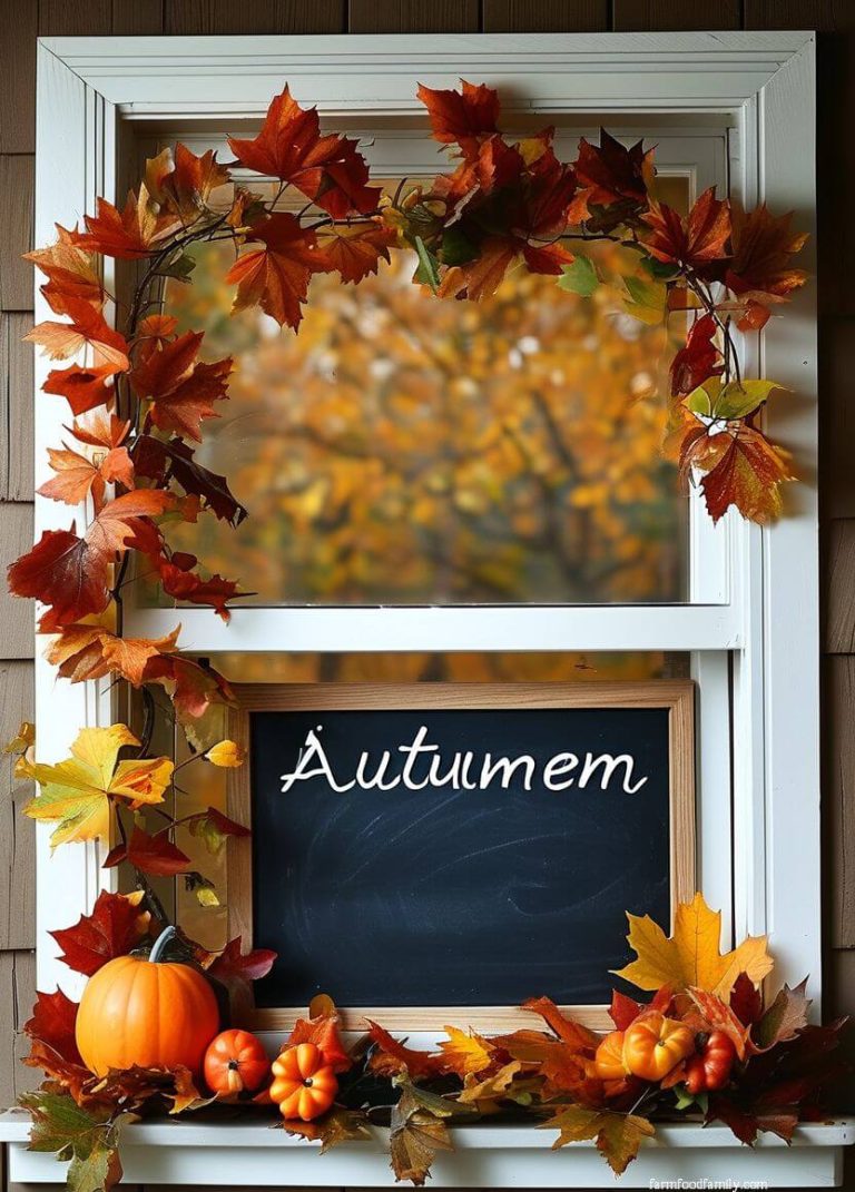 30 Stunning Fall Window Decorations to Instantly Cozy Up Your Home (2024)