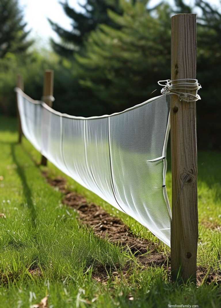 20 Brilliant Chicken Fence Ideas That Will Keep Your Flock Safe (2024)