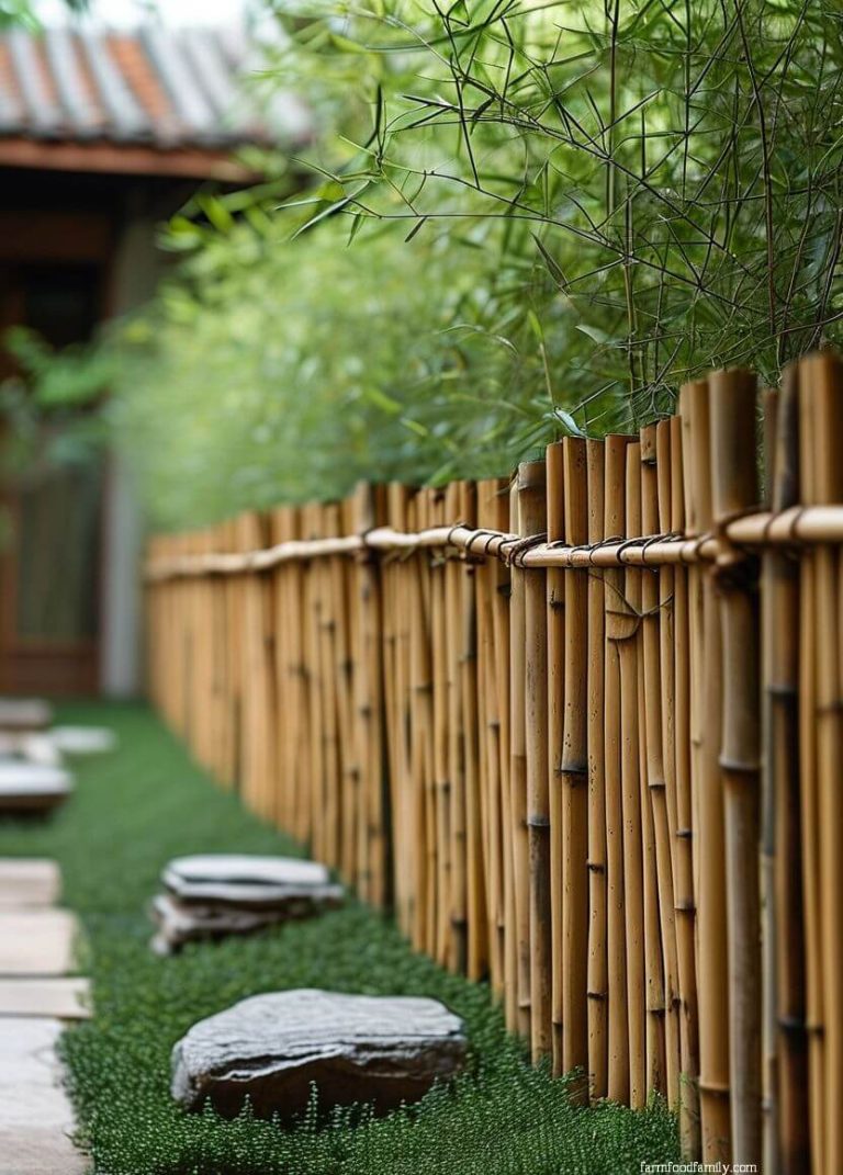 20 Stunning Short Fence Ideas That Will Transform Your Yard ...