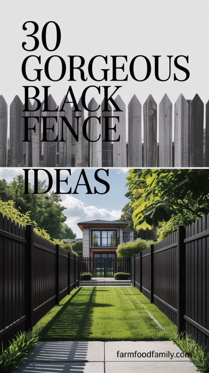 30 Gorgeous Black Fence Ideas to Boost Your Home’s Curb Appeal (2025)