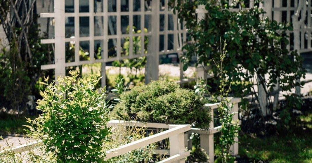 60+ Brilliant Long Narrow Backyard Ideas to Maximize Space (2025)