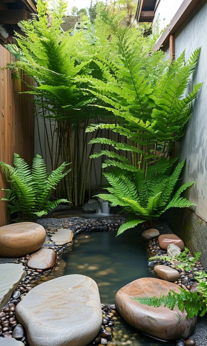 60+ Gorgeous Foxtail Fern Backyard Landscaping Ideas to Refresh Your ...