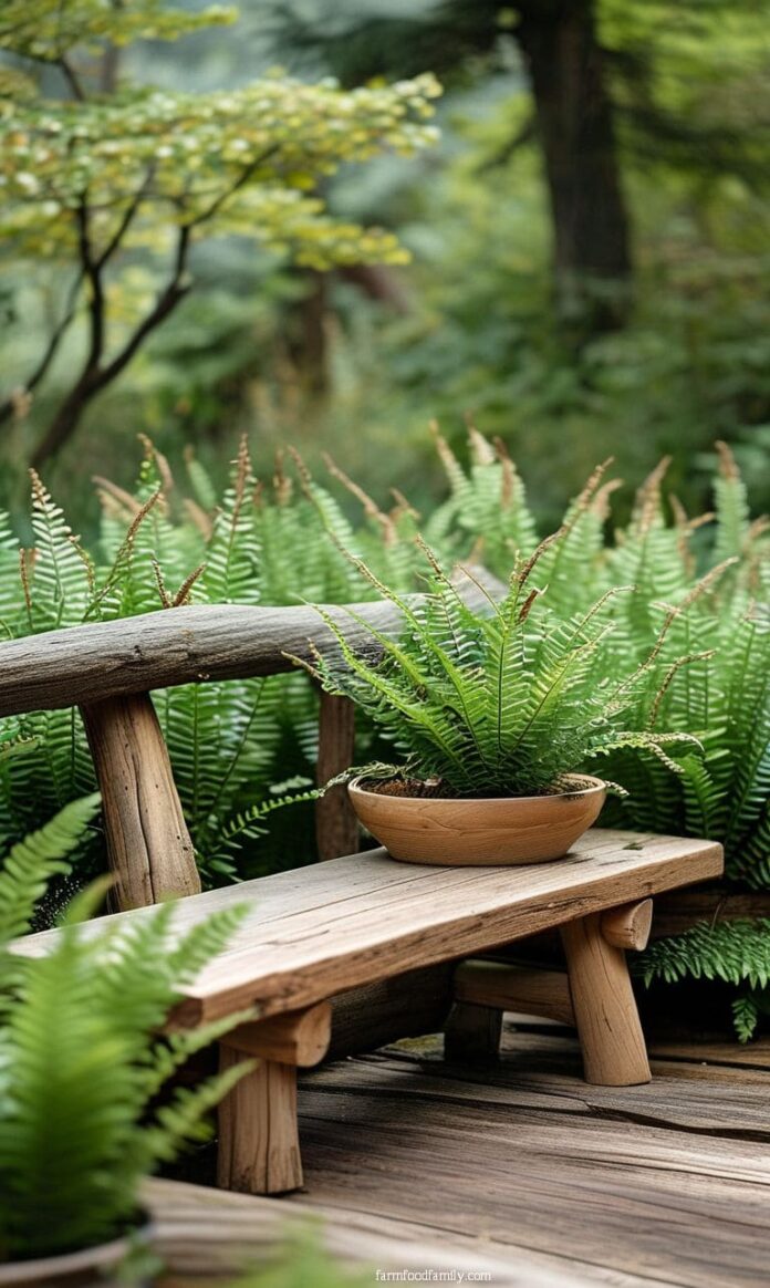 60+ Gorgeous Foxtail Fern Backyard Landscaping Ideas to Refresh Your ...