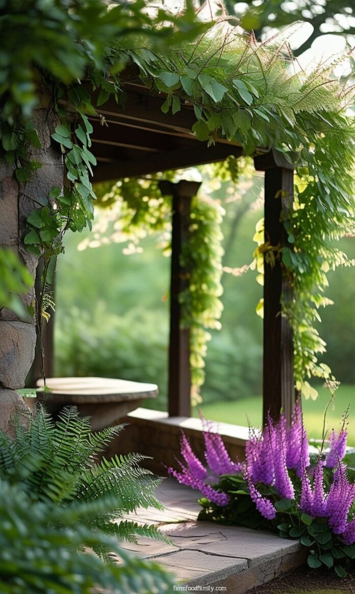 60+ Gorgeous Foxtail Fern Backyard Landscaping Ideas to Refresh Your ...