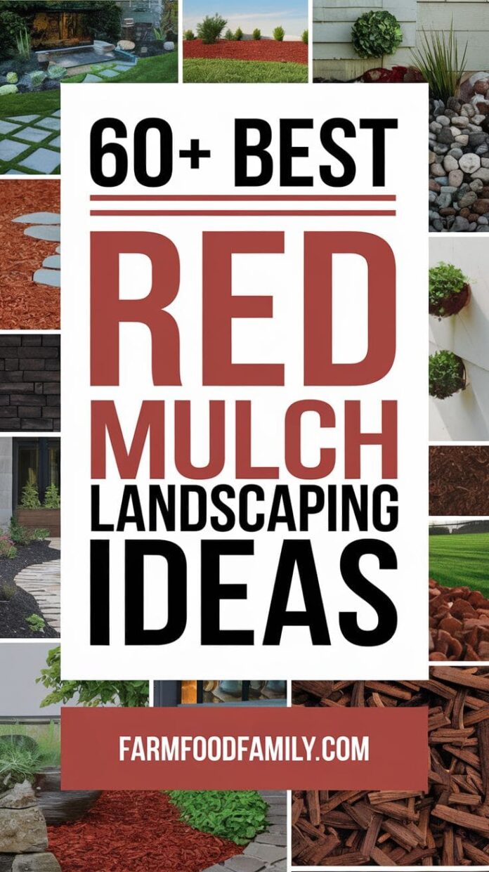 60+ Stunning Red Mulch Landscaping Ideas That Transform Your Yard ...