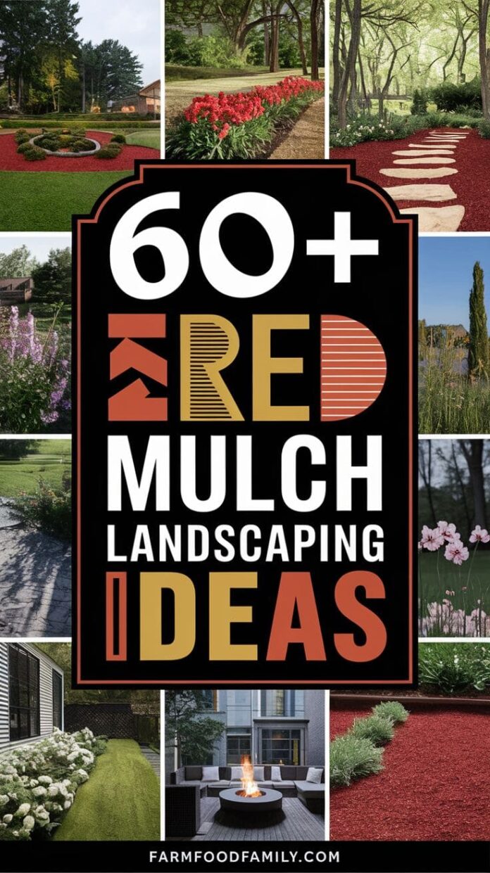 60+ Stunning Red Mulch Landscaping Ideas That Transform Your Yard ...