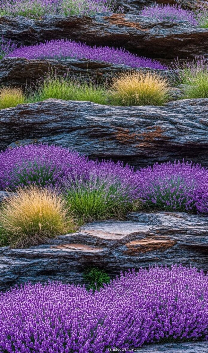 40+ Genius Layered Landscaping Ideas to Transform Your Yard (2025 ...