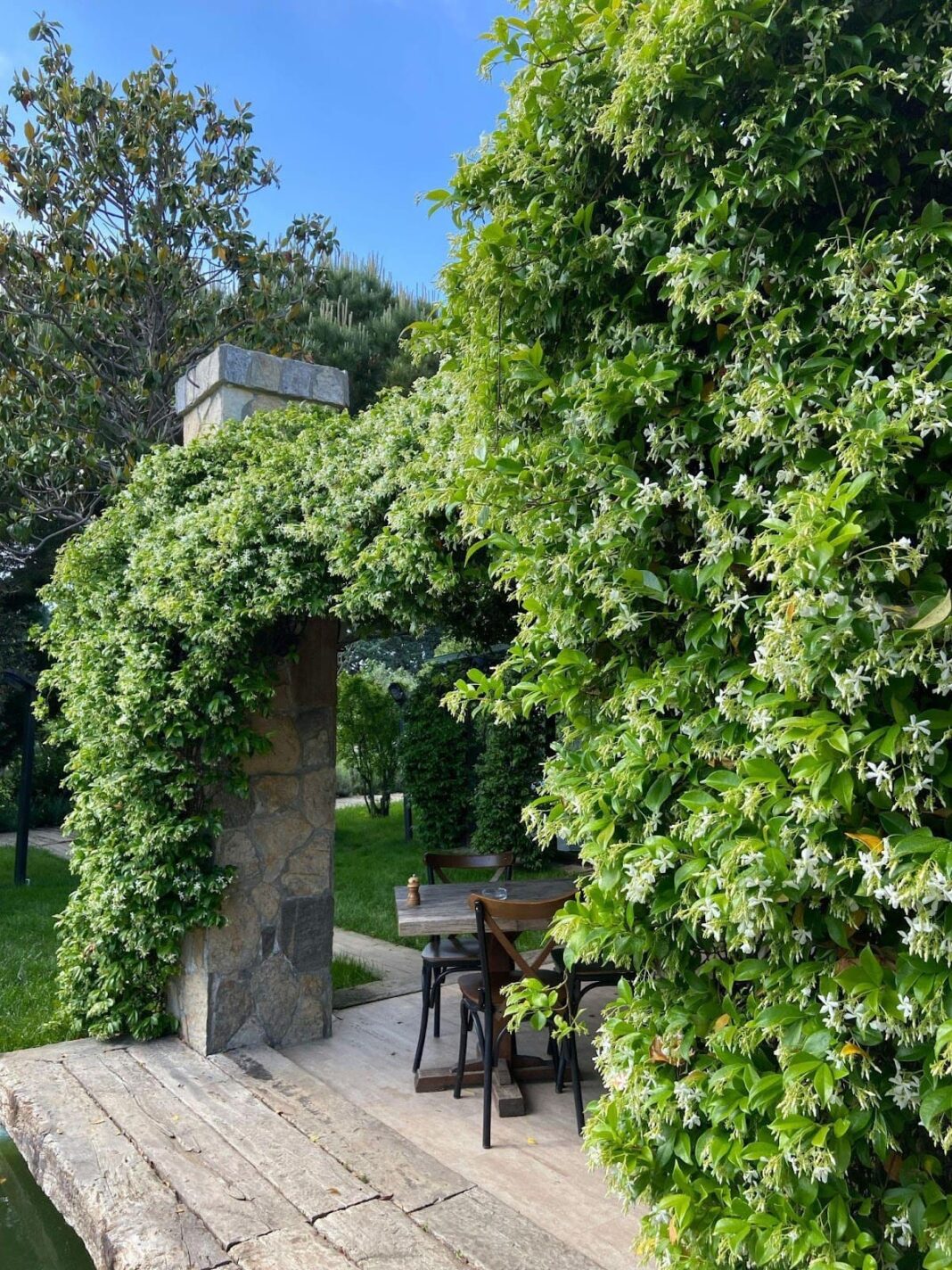 40+ Dreamy Italian Backyard Ideas That Will Transport You to Tuscany ...