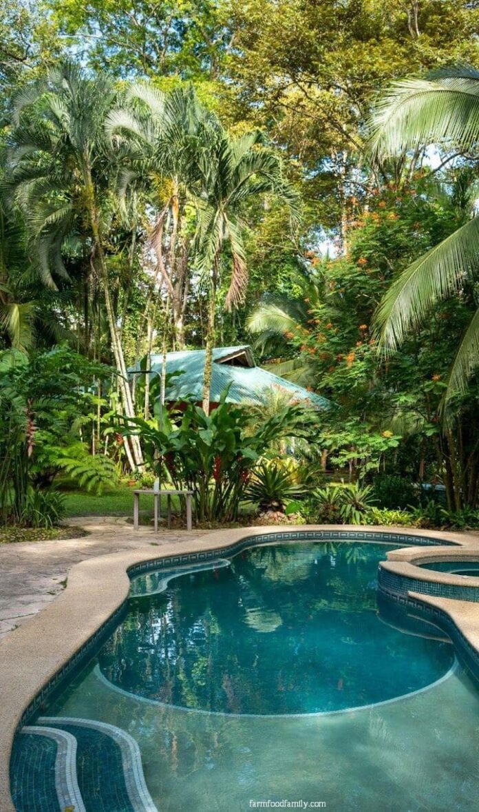 60+ Stunning Sloped Backyard Ideas with Retaining Walls and Pools You ...