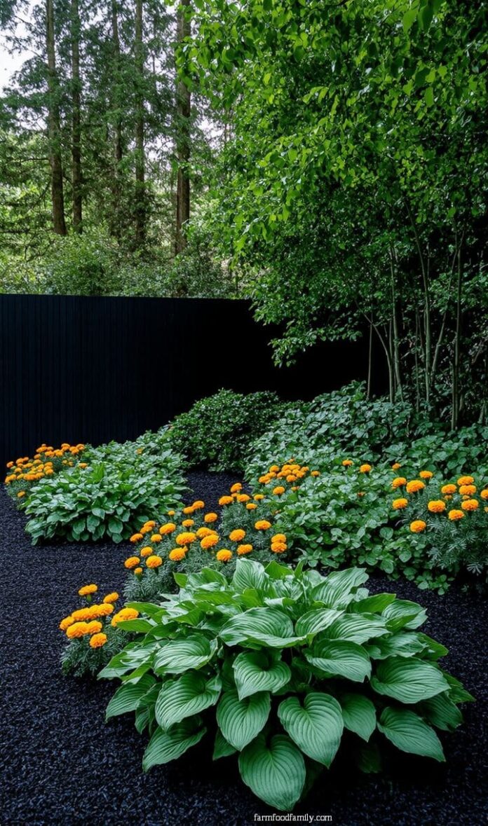 40+ Cheap Landscaping Ideas That’ll Make Your Yard Look Luxe (2026 ...
