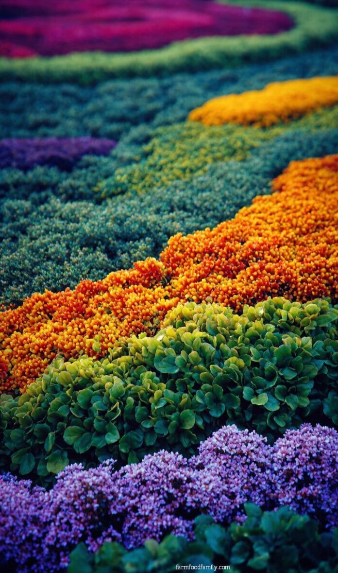 40+ Genius Layered Landscaping Ideas to Transform Your Yard (2026 ...