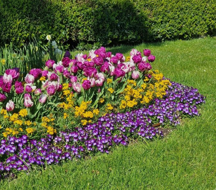 40+ Genius Layered Landscaping Ideas to Transform Your Yard (2025 ...