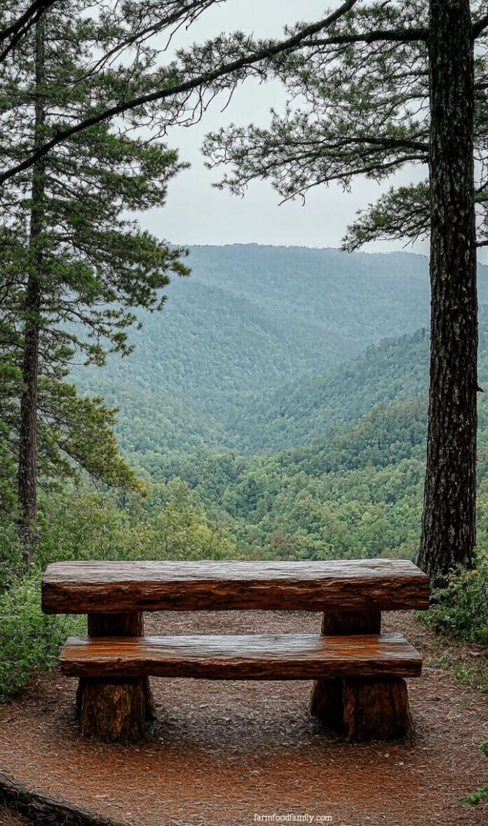 40+ Genius Layered Landscaping Ideas to Transform Your Yard (2026 ...