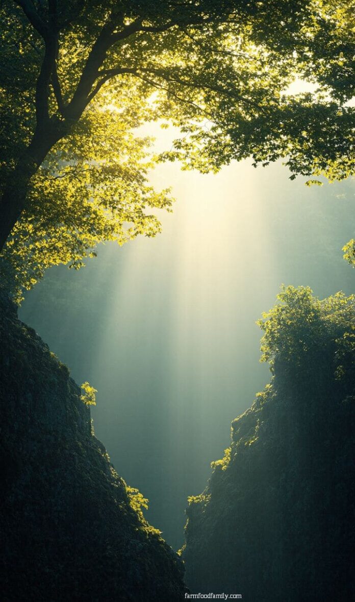 40+ Genius Layered Landscaping Ideas to Transform Your Yard (2026 ...