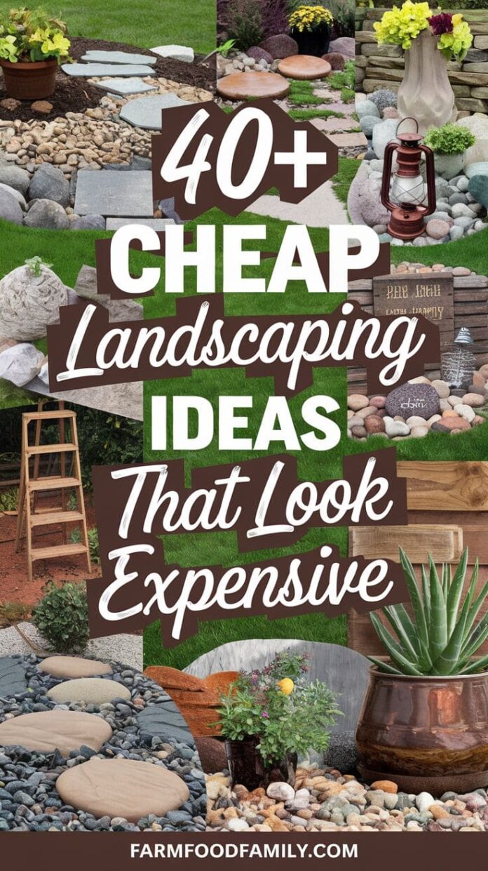 40+ Cheap Landscaping Ideas That’ll Make Your Yard Look Luxe (2026 ...
