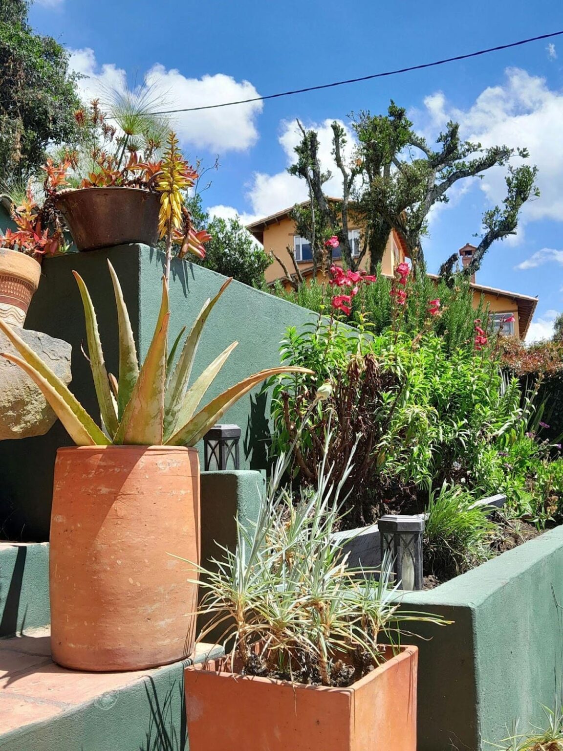 40+ Stunning Aesthetic Garden Ideas You’ll Want to Copy Immediately ...