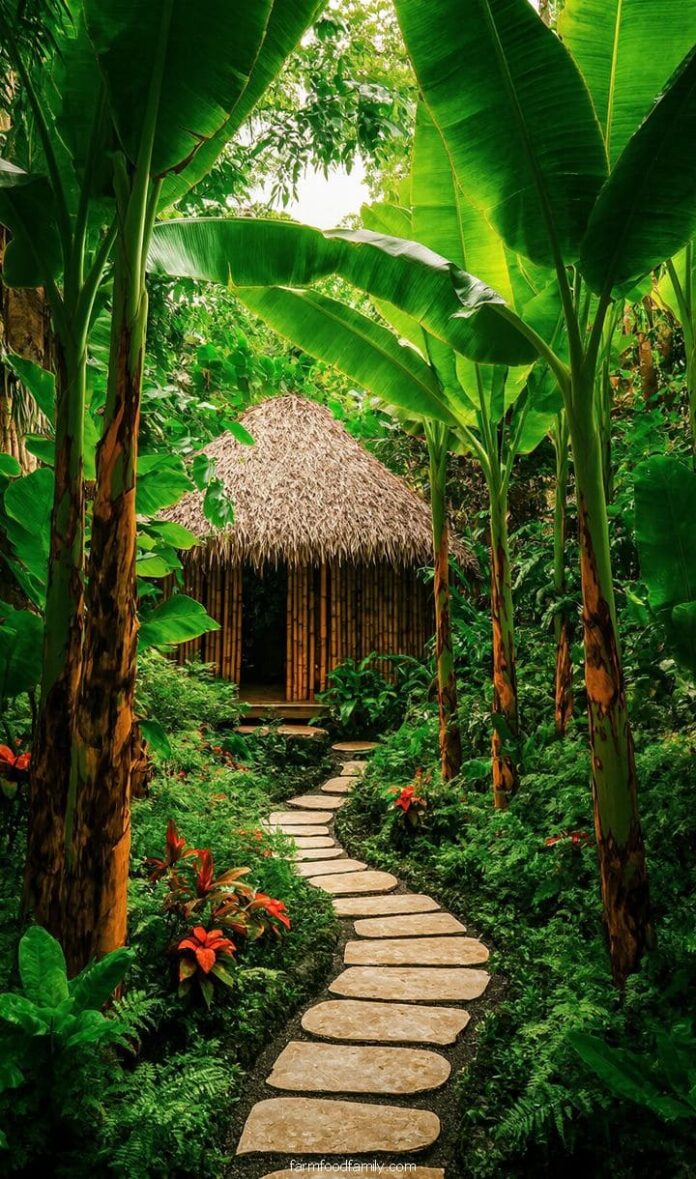 40+ Stunning Aesthetic Garden Ideas You’ll Want to Copy Immediately ...
