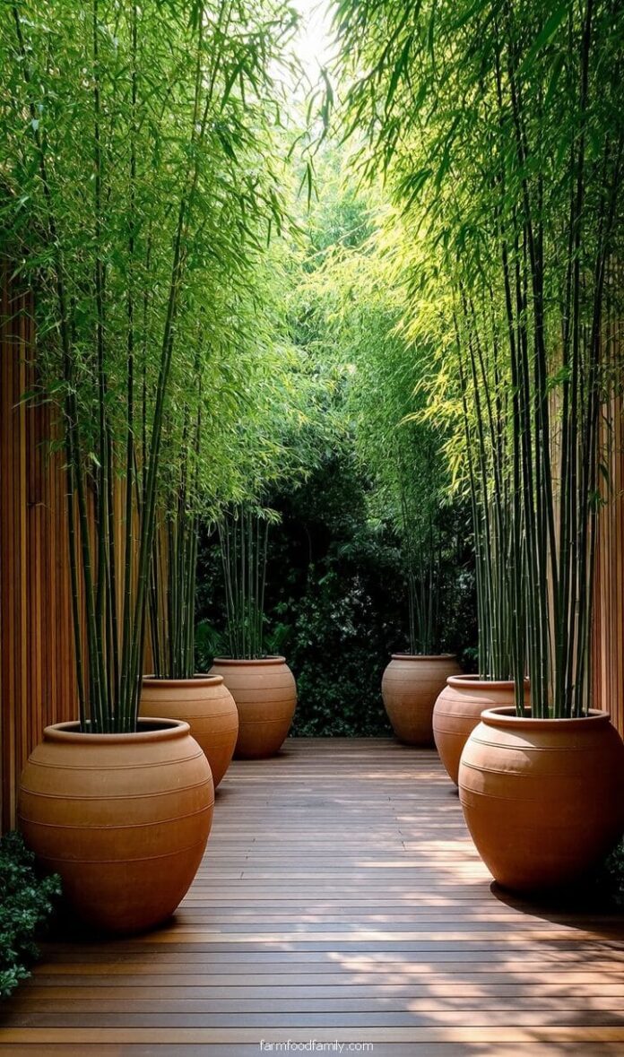 40+ Genius Deck Privacy Ideas You Can Do This Weekend (2026 ...