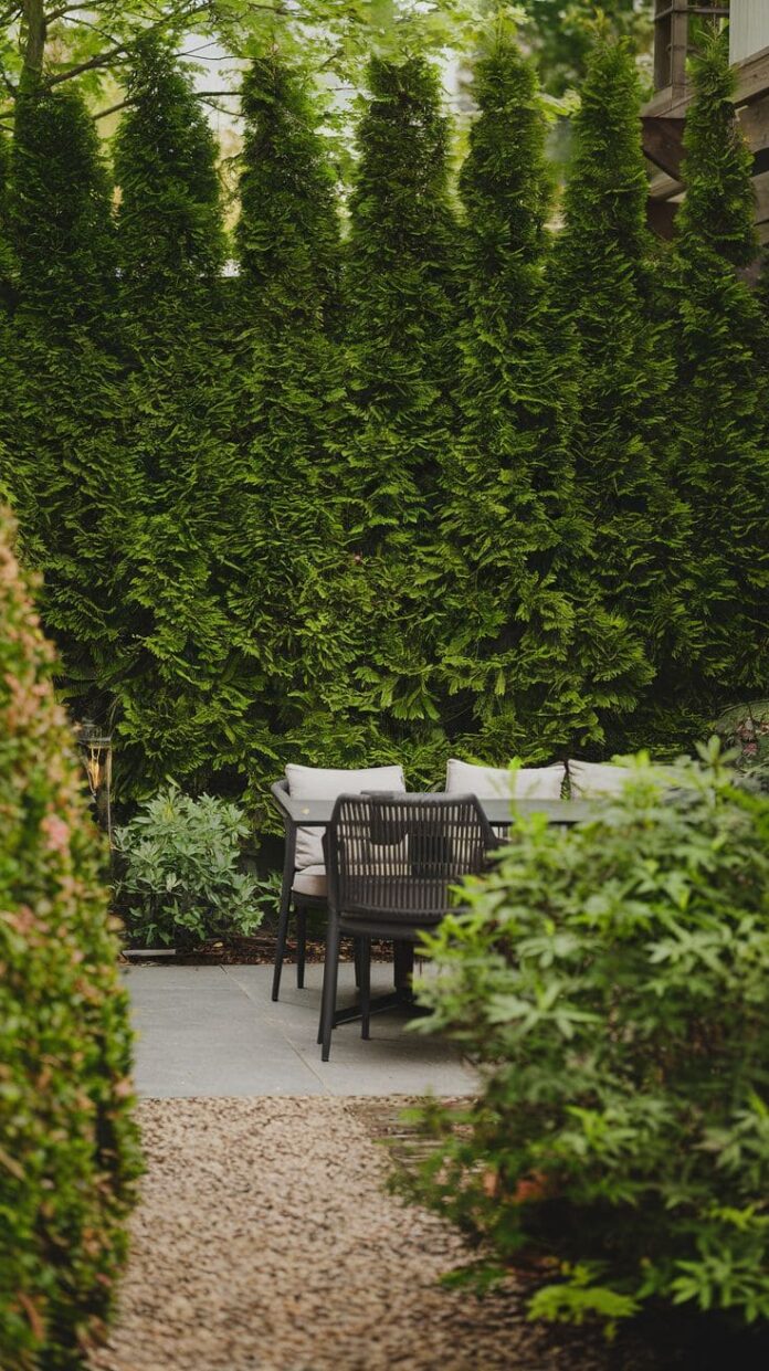 40+ Beautiful Hedge Landscaping Ideas That Add Instant Curb Appeal ...