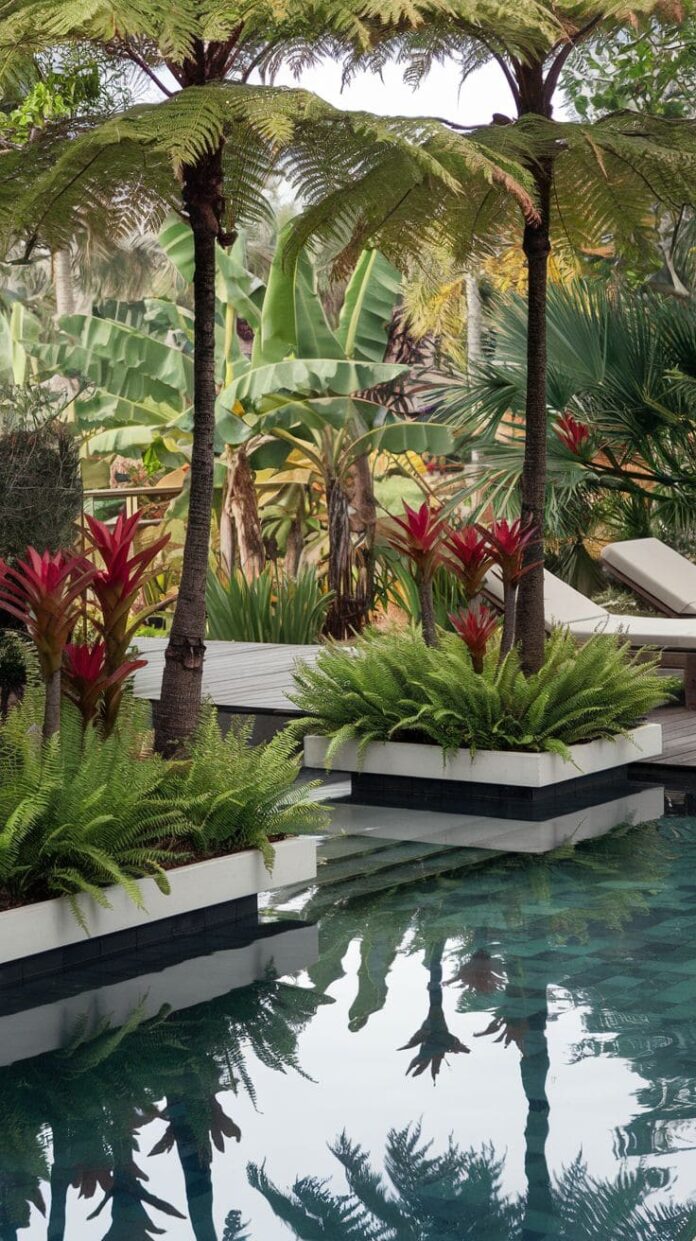 40+ Gorgeous Bromeliad Landscaping Ideas That Add Instant Wow to Your ...