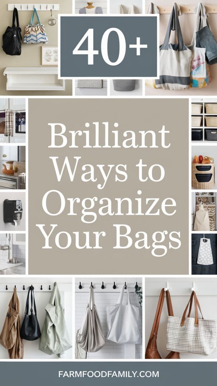 40+ Genius Bag Storage Ideas You Wish You Knew Sooner (2026 ...