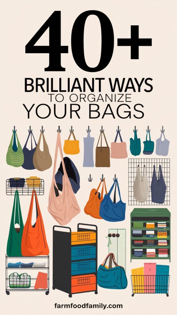 40+ Genius Bag Storage Ideas You Wish You Knew Sooner (2026 ...