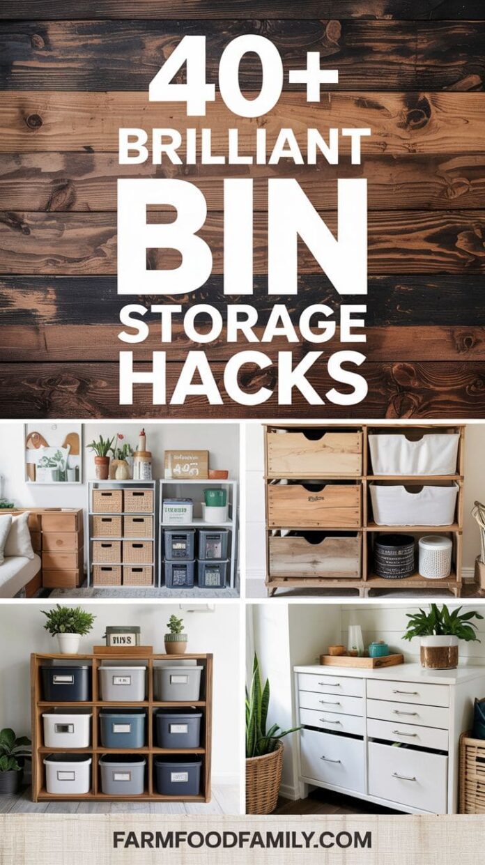 40+ Easy Bin Storage Upgrades That Instantly Organize Any Room (2025 ...