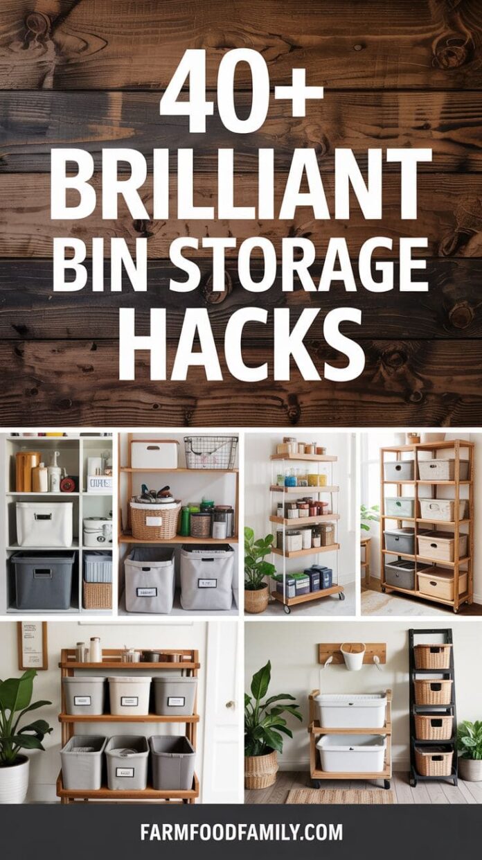 40+ Easy Bin Storage Upgrades That Instantly Organize Any Room (2026 ...